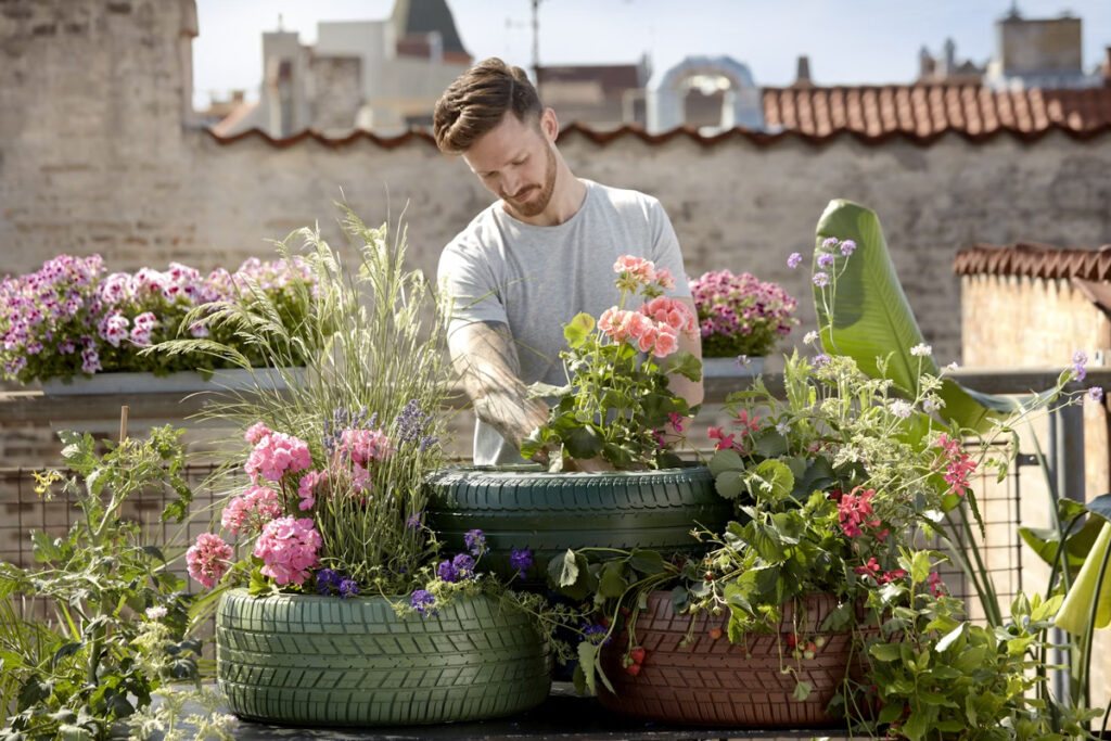 Création du jardin idéal : les étapes clés du rêve à la réalité ...